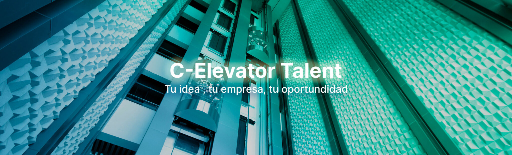 C-Elevator Talent - C-MEET
